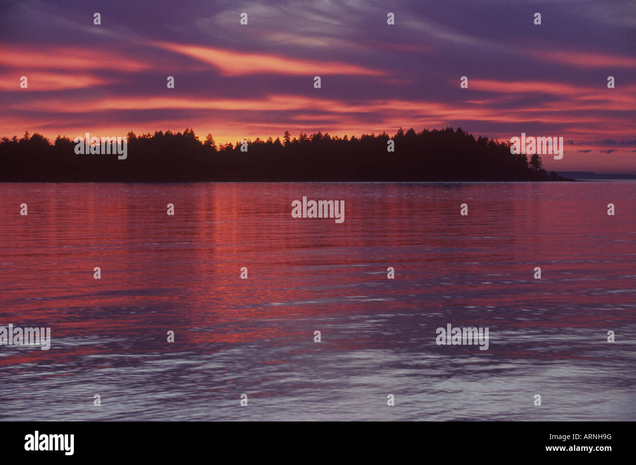 Madrona point hi-res stock photography and images - Alamy