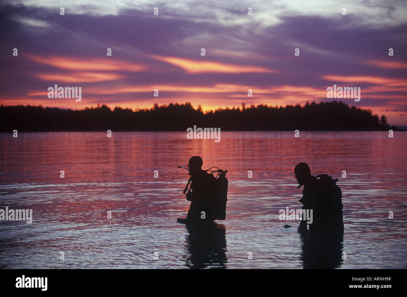 Madrona point hi-res stock photography and images - Alamy