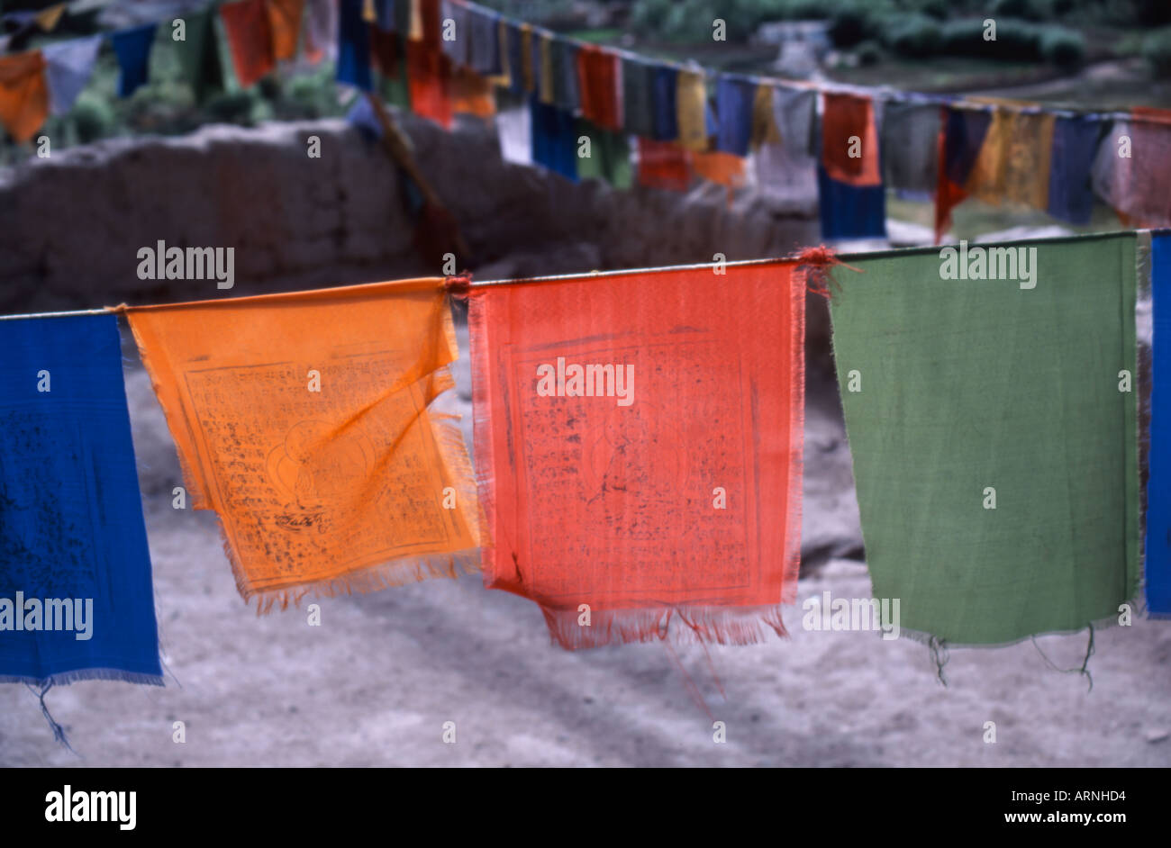 Buddhist Prayer Flags Ladakh India Stock Photo - Alamy
