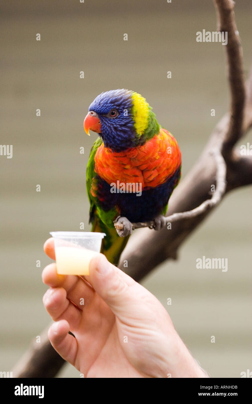 Being sweetened hi-res stock photography and images - Alamy