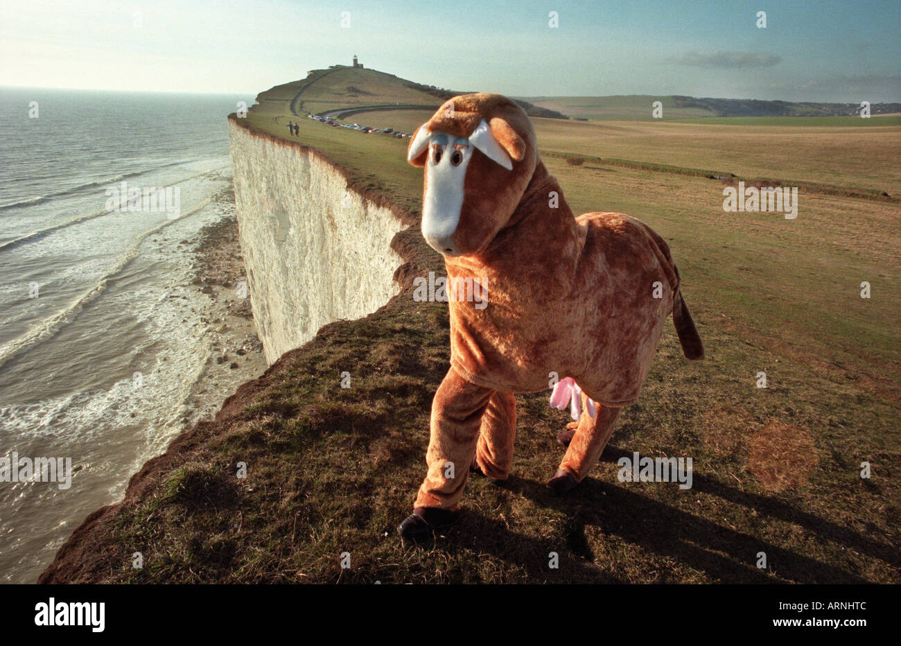Pantomime cow hi-res stock photography and images - Alamy