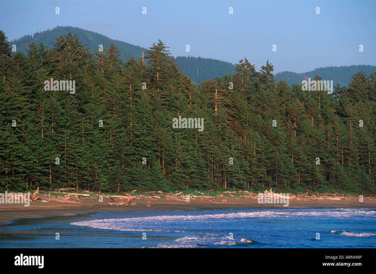 north-west, Raft Cove, Vancouver Island, British Columbia, Canada Stock ...