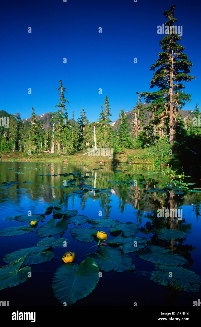 Mount cain hi-res stock photography and images - Alamy