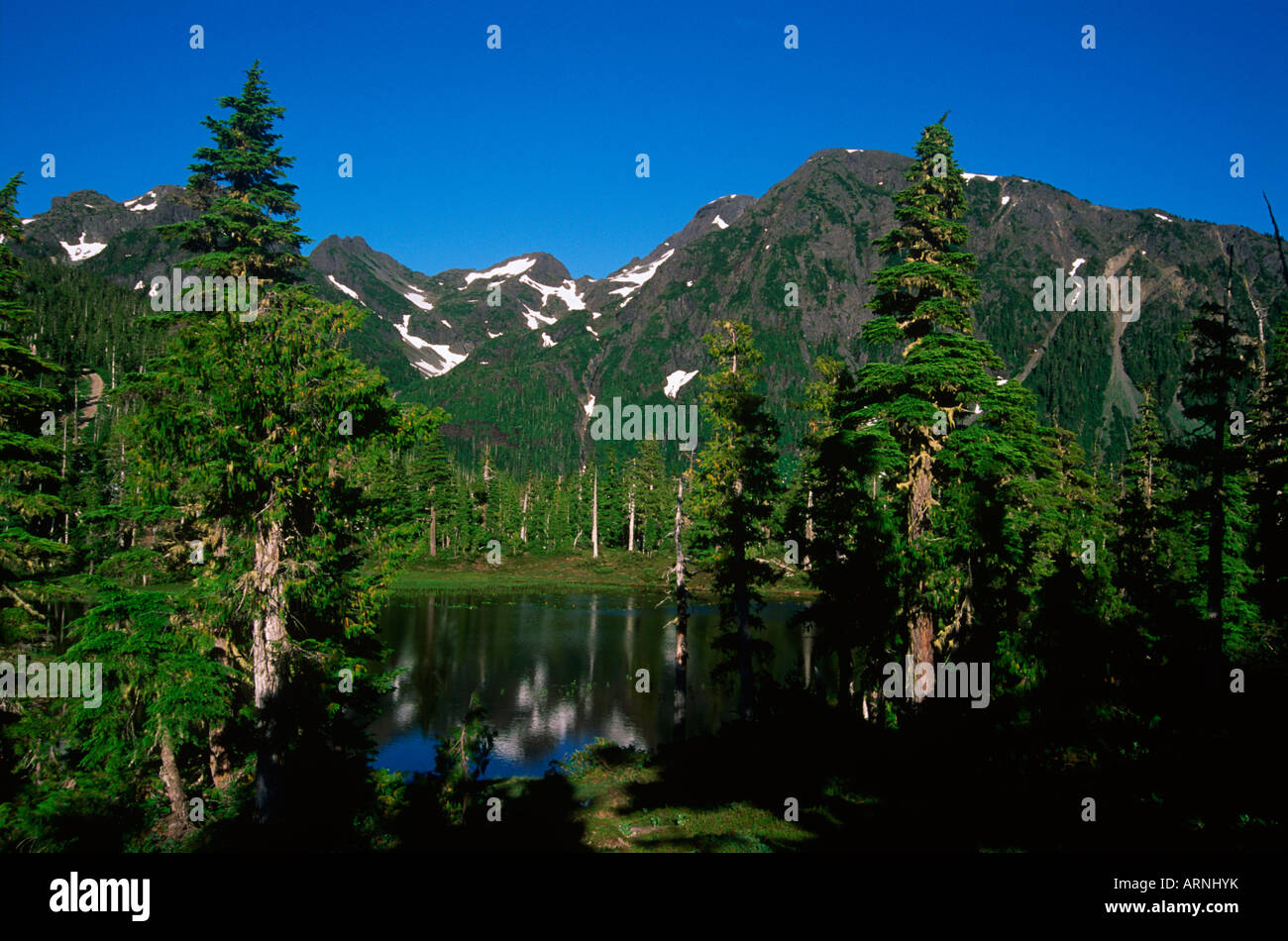 Mount Cain, Vancouver Island, British Columbia, Canada Stock Photo - Alamy