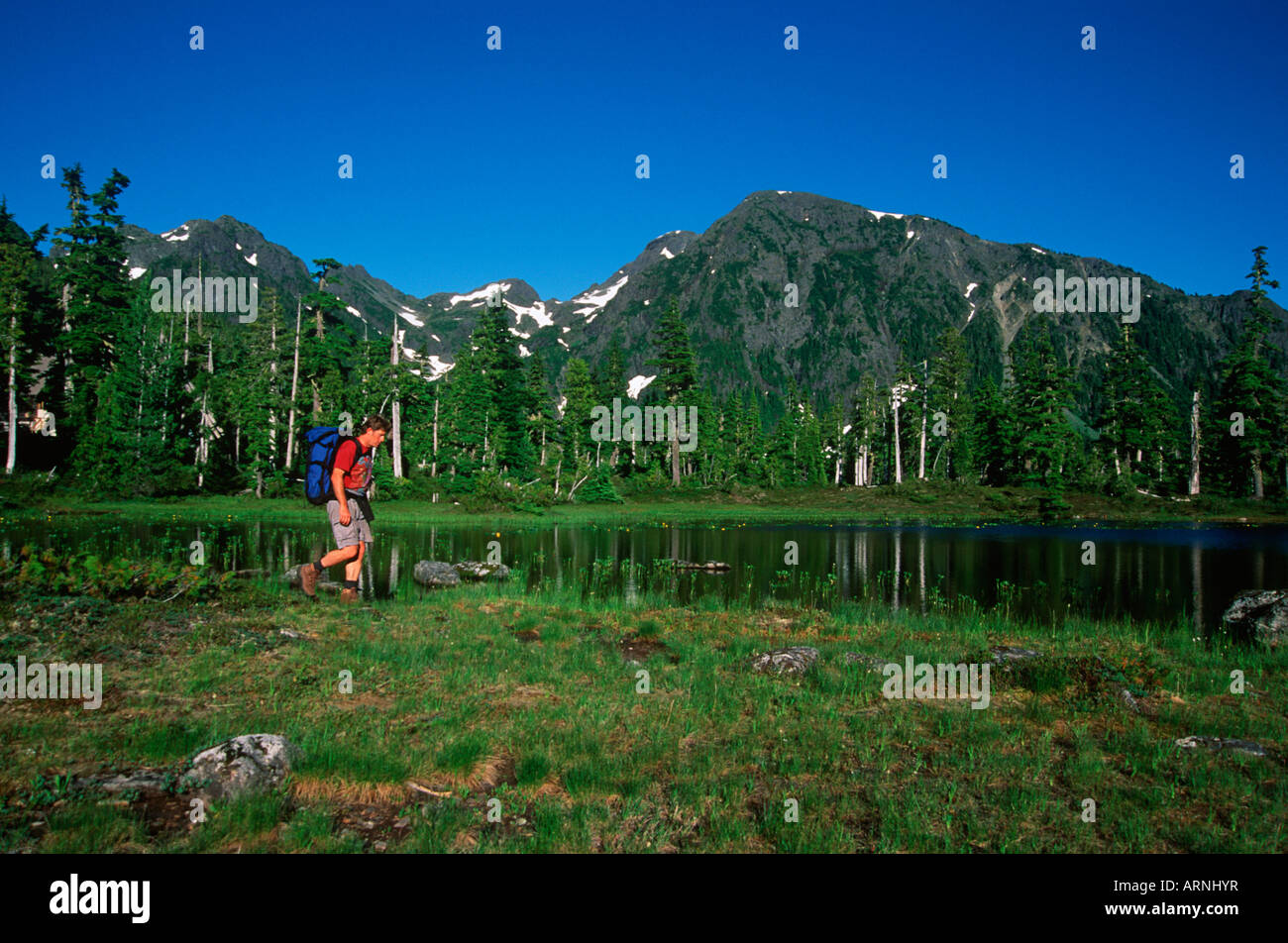 Mount Cain - man hiking, Vancouver Island, British Columbia, Canada ...