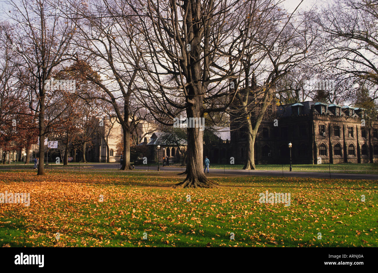 Princeton University Campus Fall