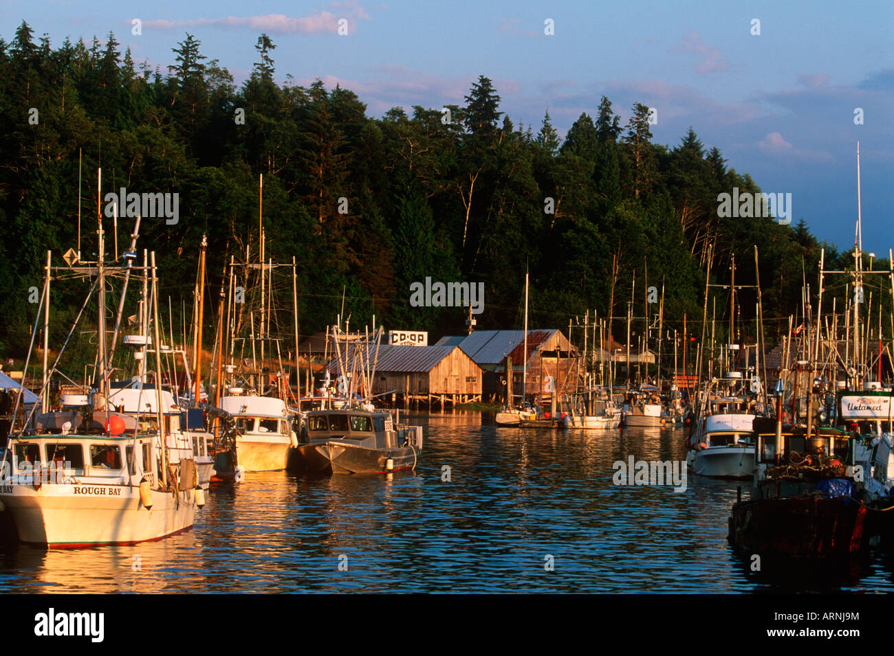 Malcolm Island, Sointula - fishboats at wharf, British Columbia, Canada ...