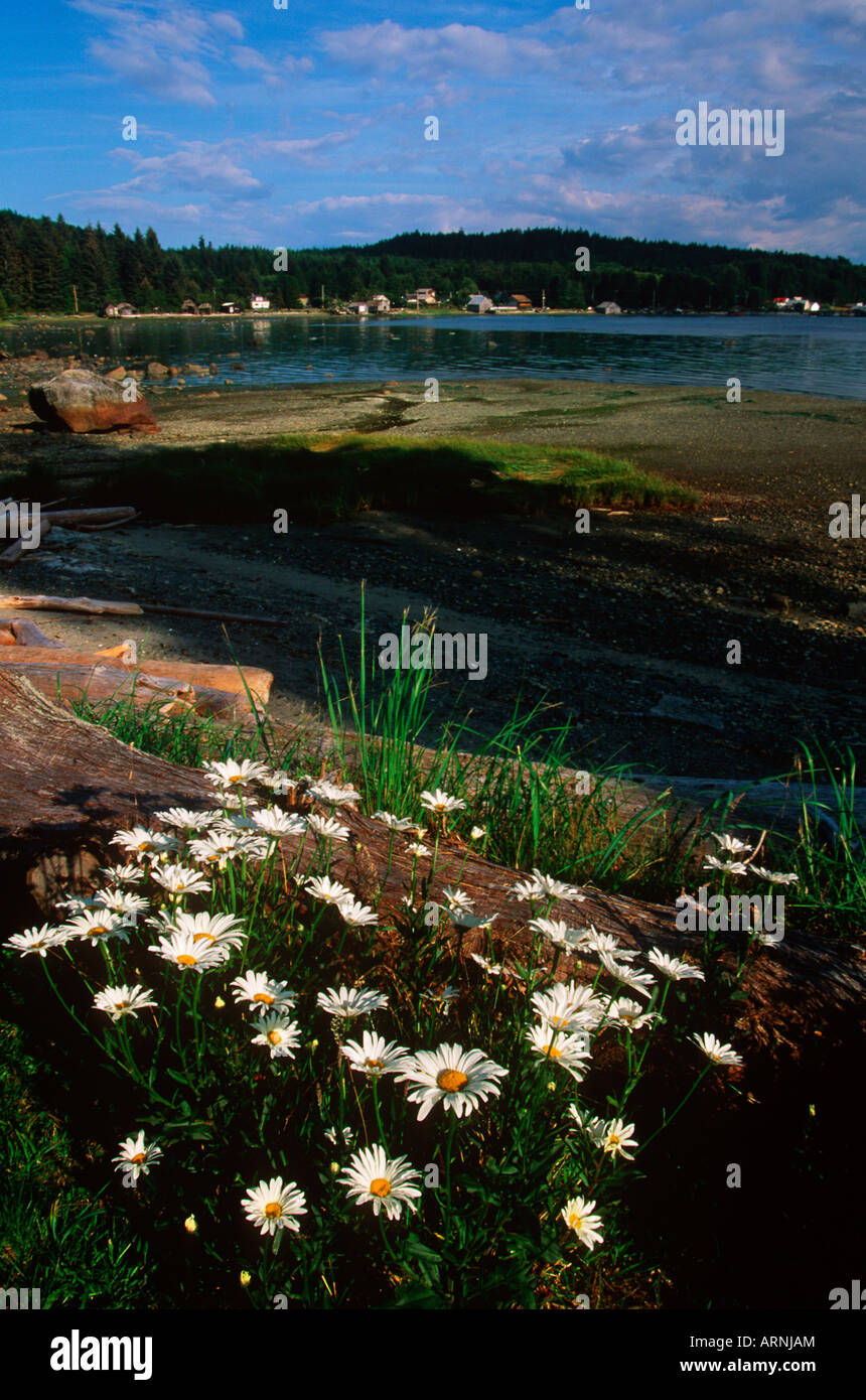 Malcolm beach hi-res stock photography and images - Alamy