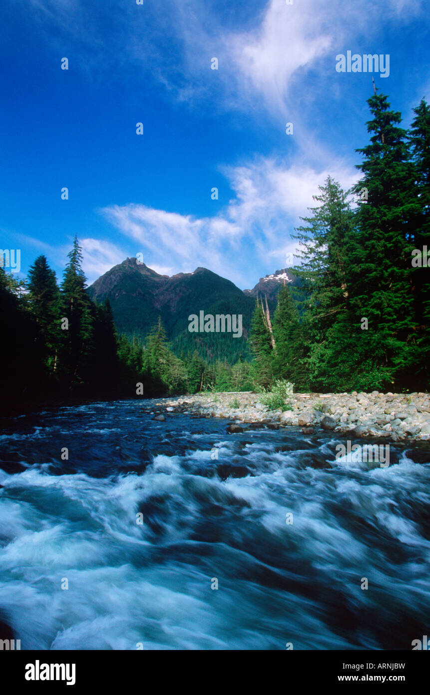 Zeballos River, Vancouver Island, British Columbia, Canada Stock Photo ...