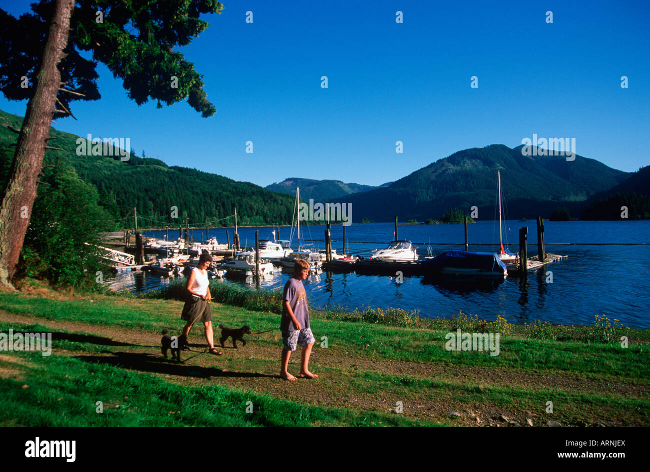 Port Alice, Mother and son walk their dogs along ocean., Vancouver ...