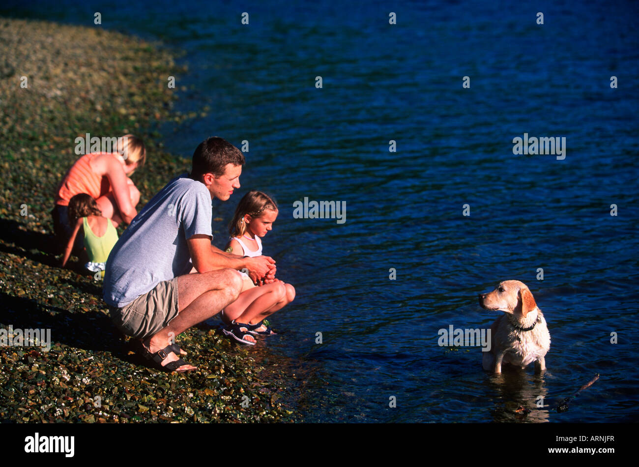 Port Alice, Vancouver Island, British Columbia, Canada Stock Photo - Alamy