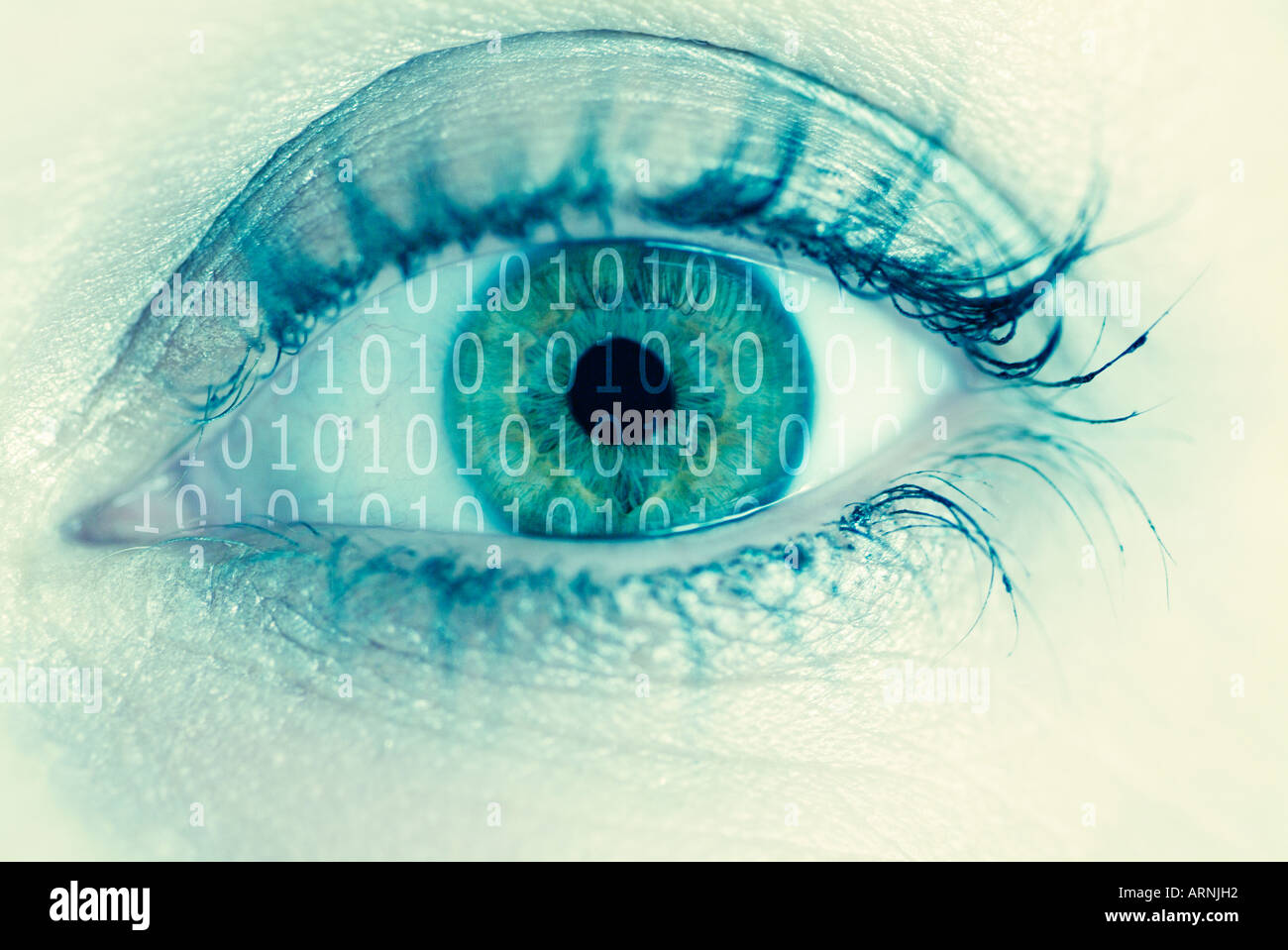 Biometric Science Concept Showing a Human Females Eye with Binary ...