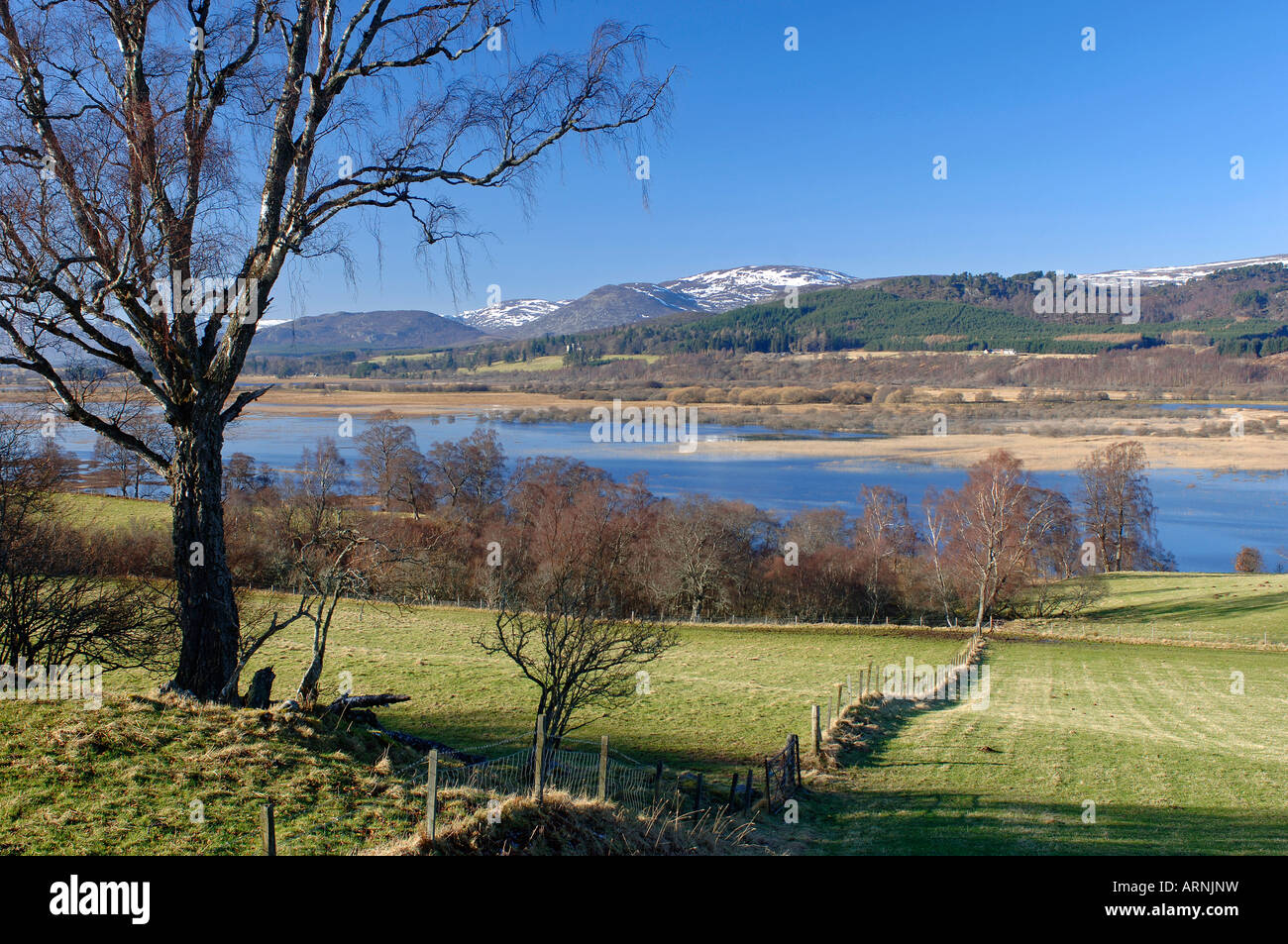 The Insh Marshes RSPB Bird Reserve Badenoch and Streathspey Inverness ...