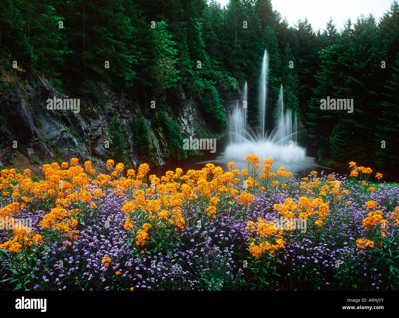 Butchart Gardens, Ross fountain with peonies, Victoria, Vancouver ...