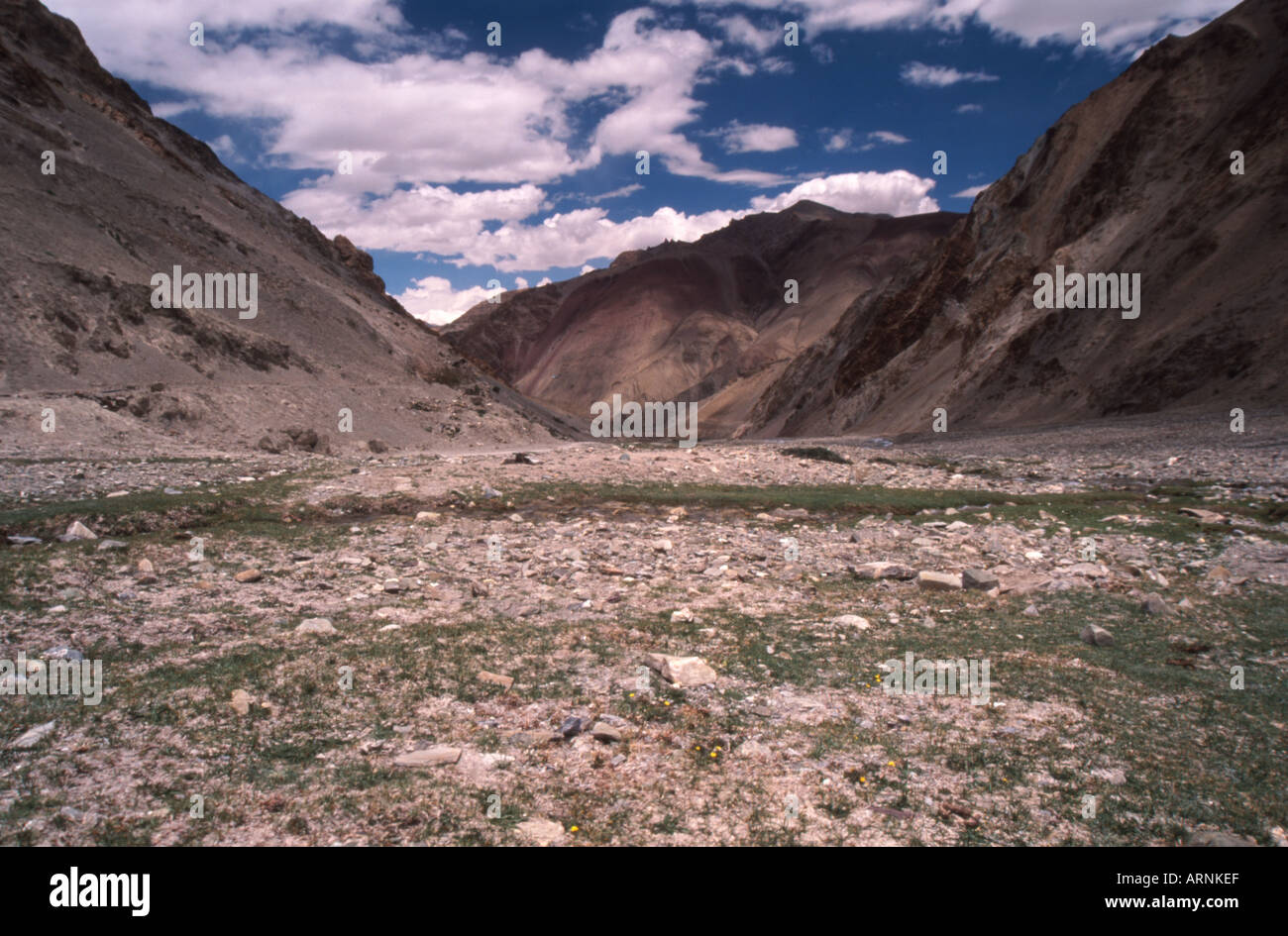 Markha Valley Trek Ladakh India Stock Photo - Alamy