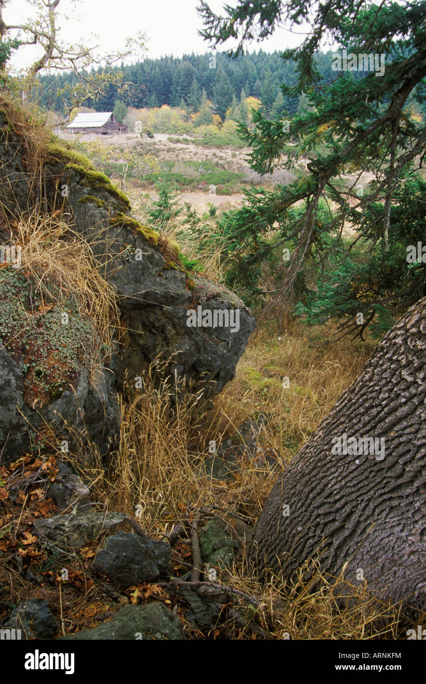 Metchosin farmland, Galloping Goose trail, Vancouver Island, British ...
