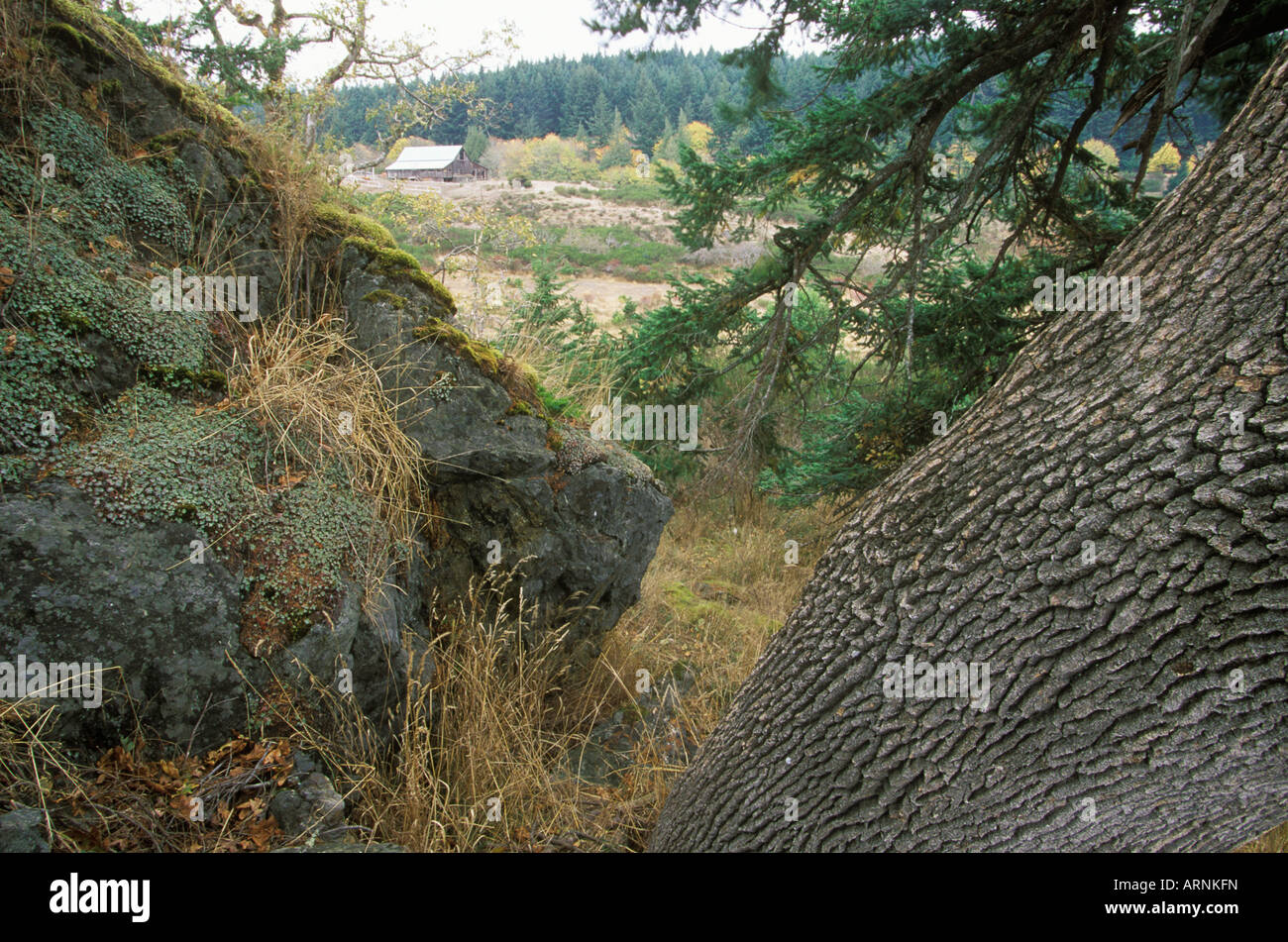 Metchosin hi-res stock photography and images - Alamy