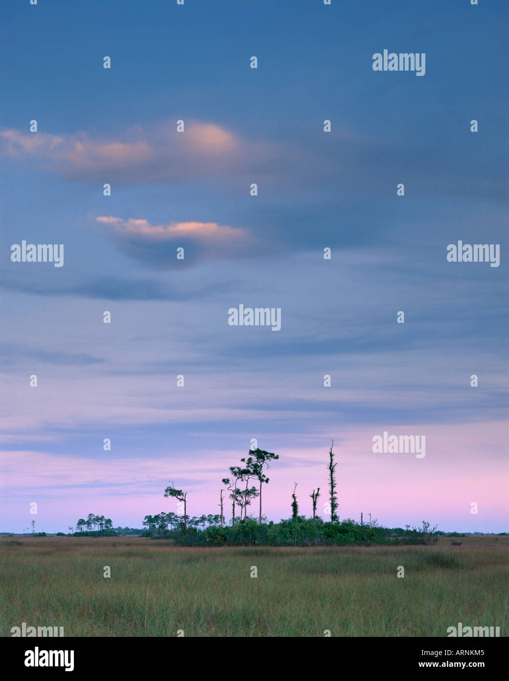 Wetland everglades sunset hi-res stock photography and images - Alamy
