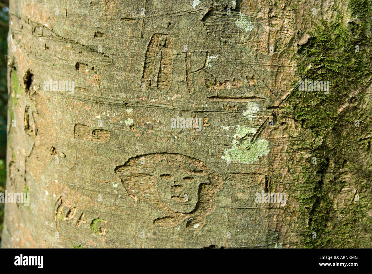Tree writing names hi-res stock photography and images - Alamy