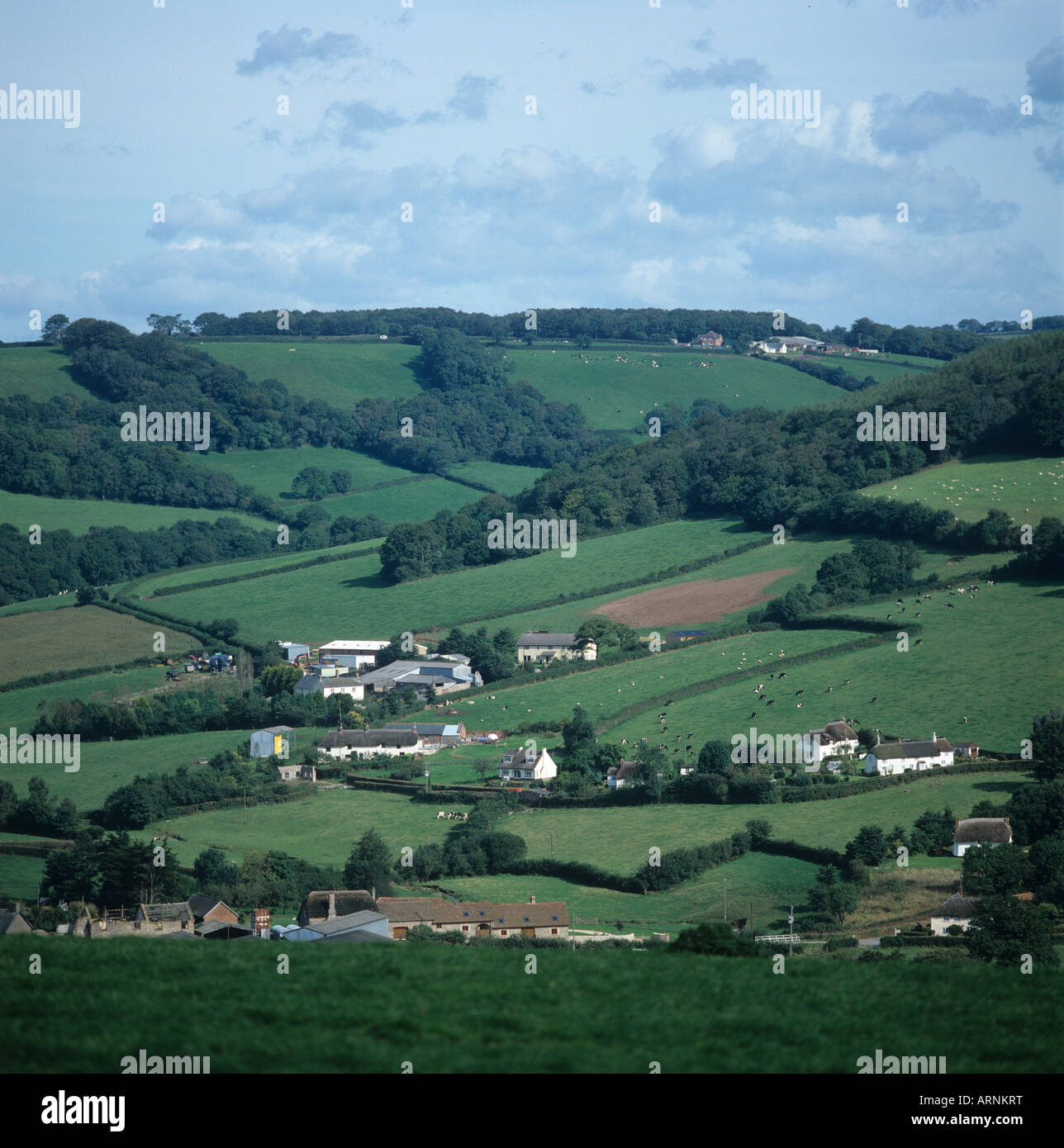 Mixed Devon valley farmland with village houses farms neat fields and ...