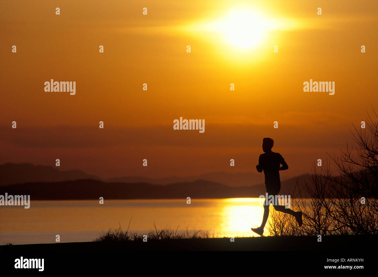Dallas Road Beach Victoria Canada High Resolution Stock Photography and ...