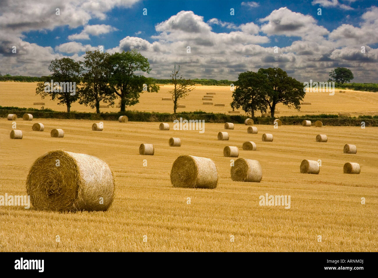 Hay making hi-res stock photography and images - Alamy