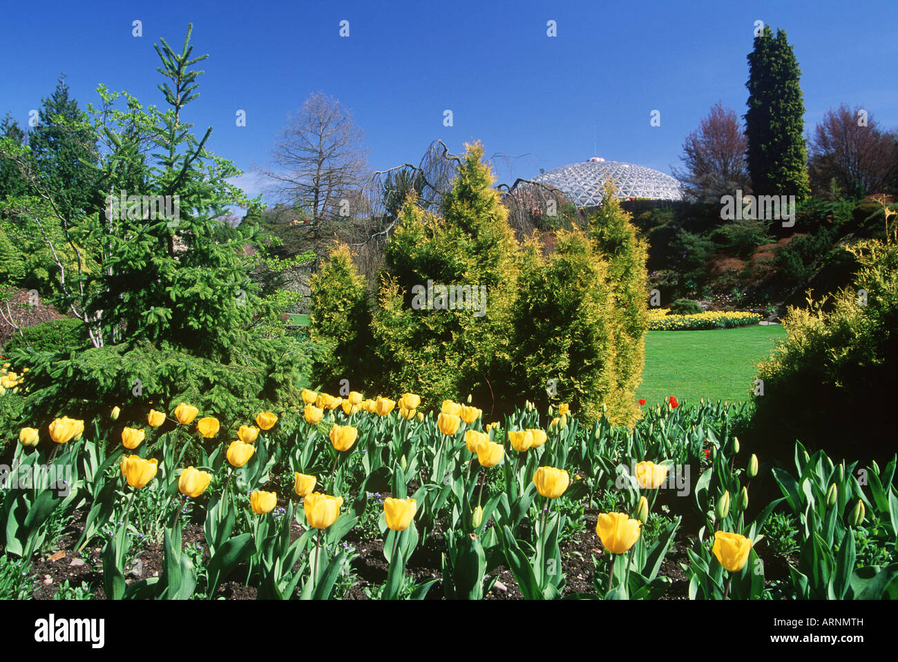 Queen Elizabeth Park Vancouver Spring High Resolution Stock Photography ...