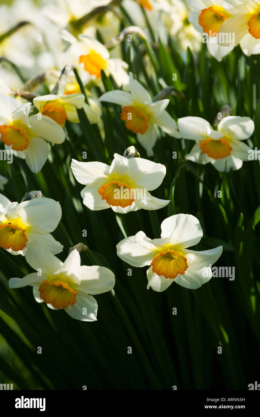 Elworthy hi-res stock photography and images - Alamy