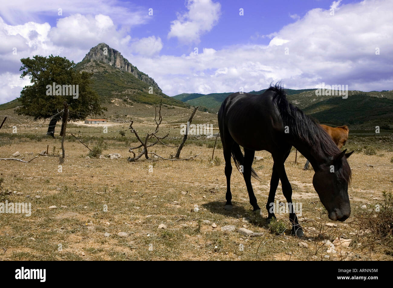 A landscape view of the typical arid countryside of Mediterranean ...