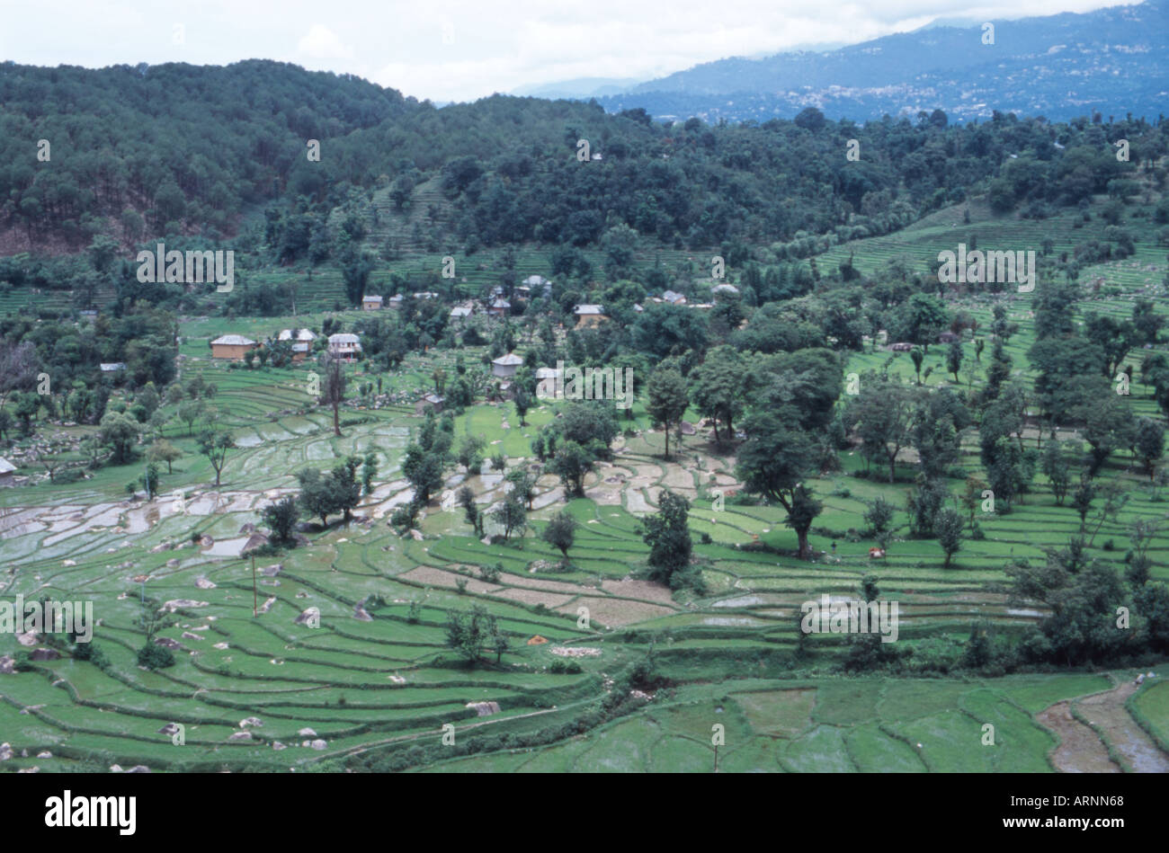 View from Chinmaya Tapovan Trust in the Kangra Valley Himachal Pradesh ...