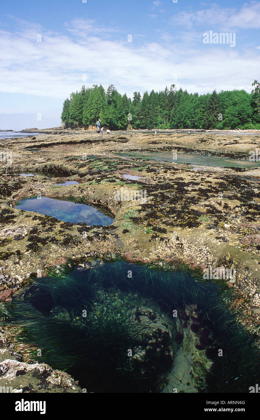 Botanical beach provincial park hi-res stock photography and images - Alamy