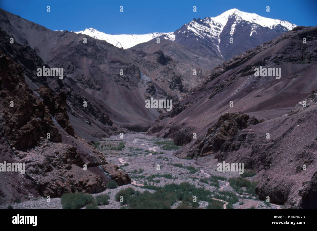 Markha Valley Landscape Ladakh India Stock Photo - Alamy