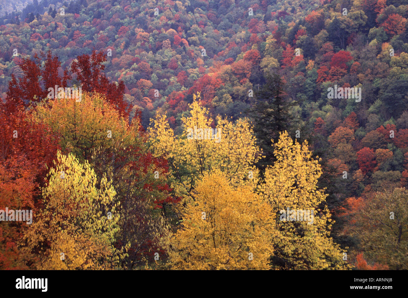 Smoky Mountains Fall Landscape Stock Photo - Alamy