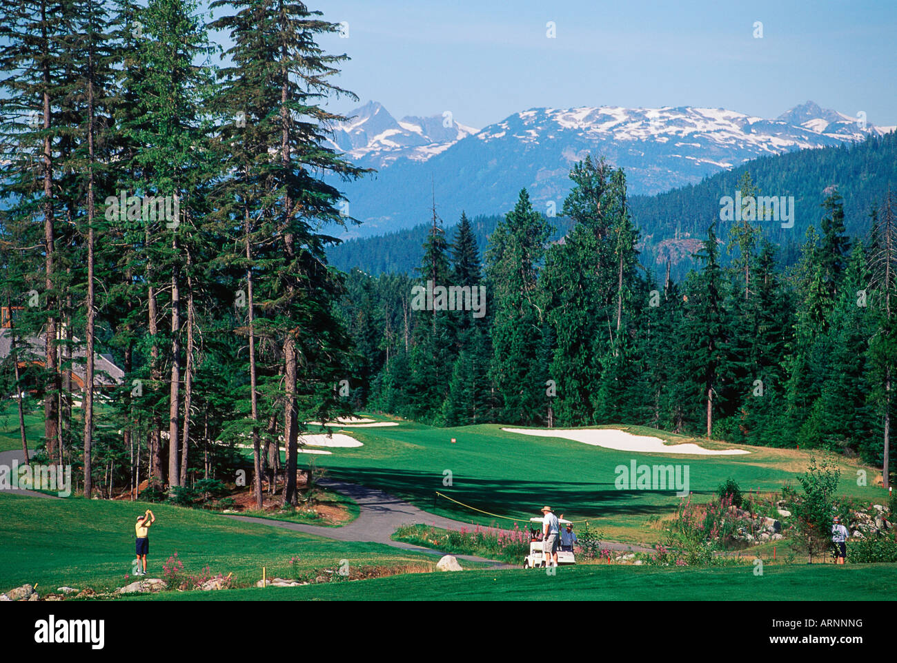Chateau Whistler Golf Course, Whistler, British Columbia, Canada Stock ...
