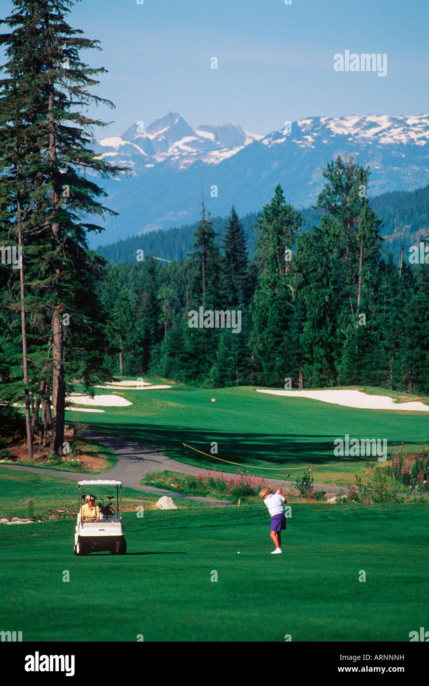 Chateau Whistler Golf Course, Whistler, British Columbia, Canada Stock ...