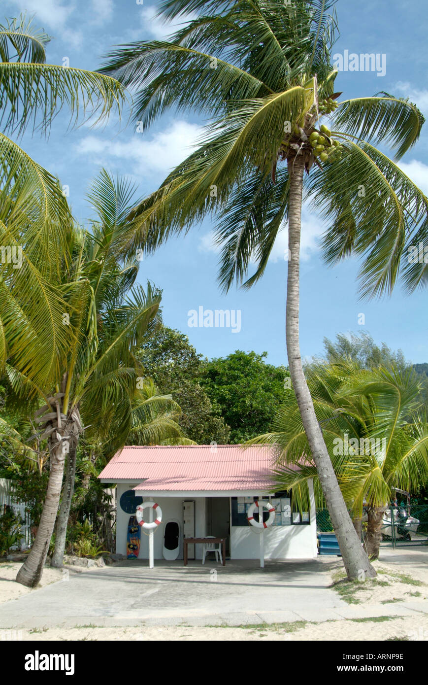 tropical, island, palm, tree,hut, penang, Malaysia, Malaysian, Asia ...