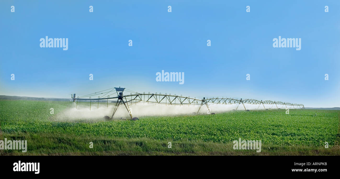 Irrigation in field in northwest Nebraska Stock Photo - Alamy