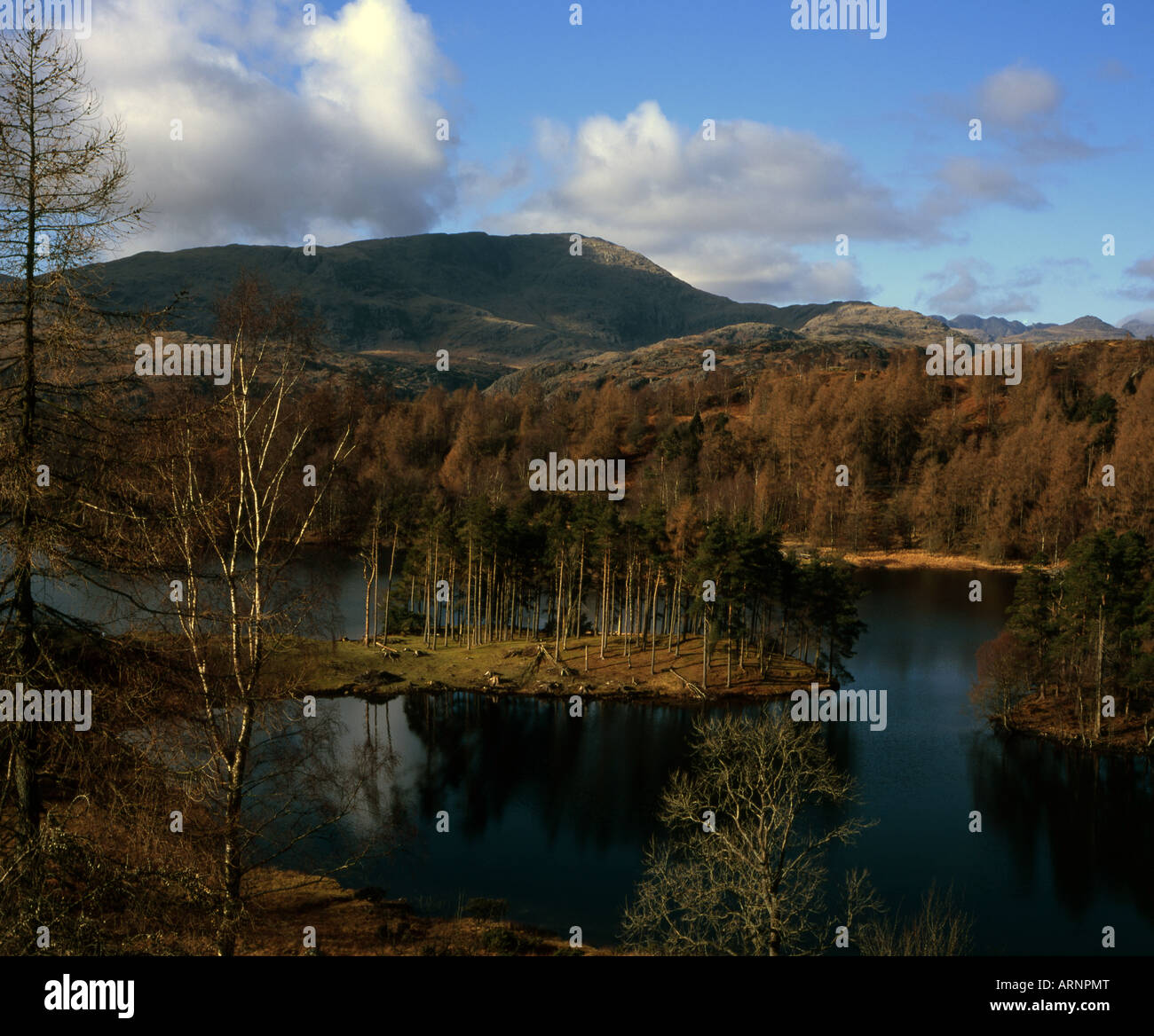 A view of Tarn Hows on a clear winter day located between Coniston and ...