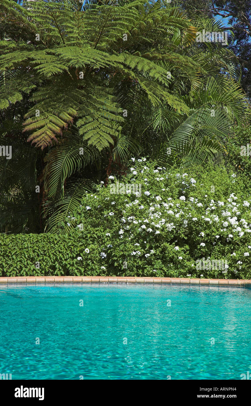 Tropical resort swimming pool Stock Photo - Alamy
