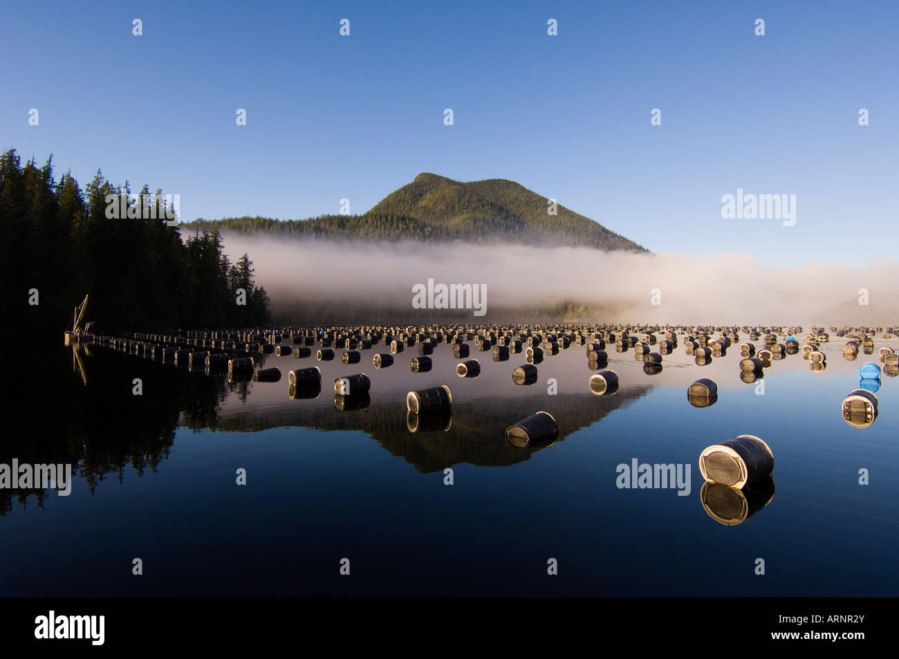 Oyster farm on Lemmens Inlet, Tofino, Clayoquot Sound, Vancouver Island ...