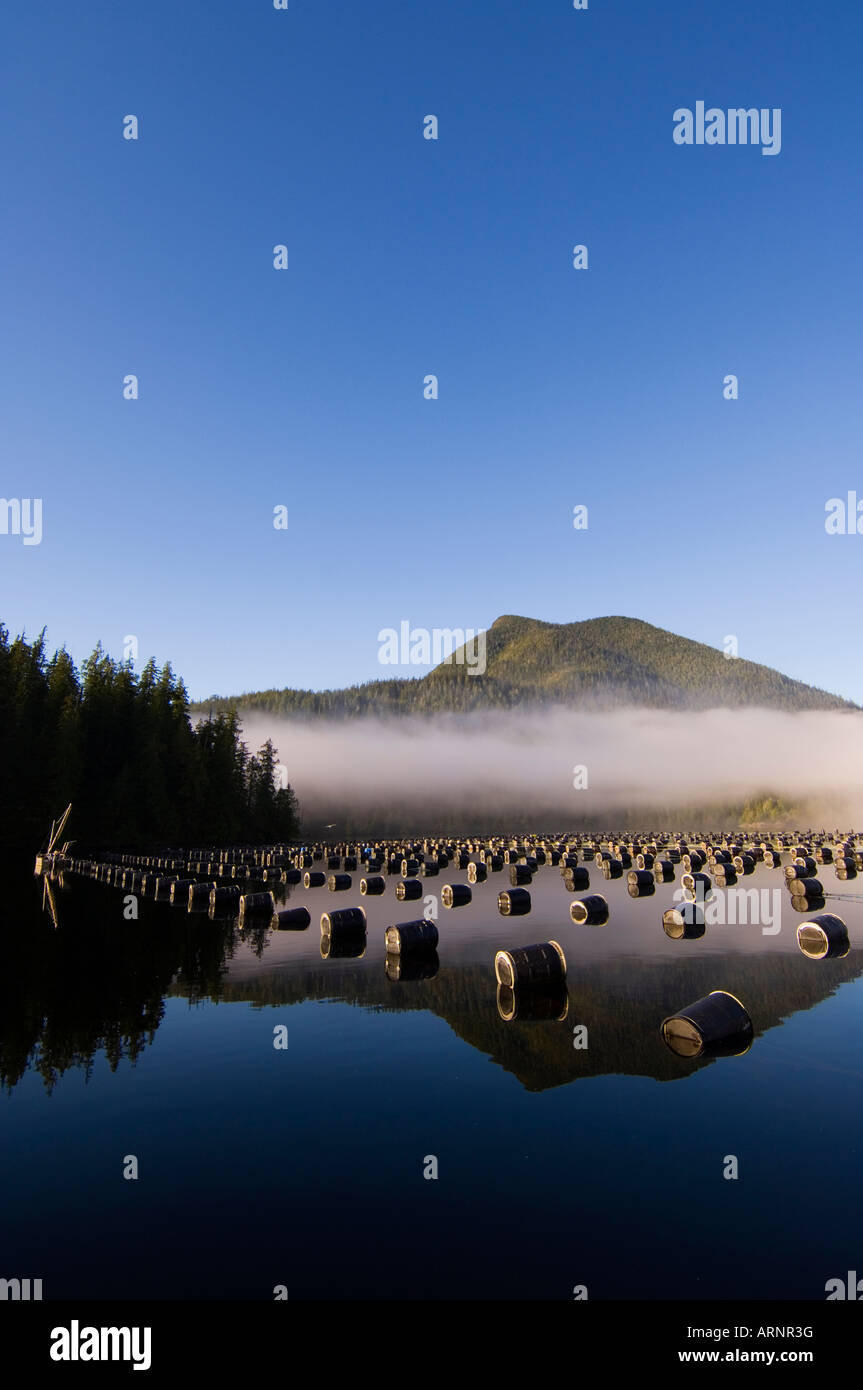 Oyster farm on Lemmens Inlet, Tofino, Clayoquot Sound, Vancouver Island ...