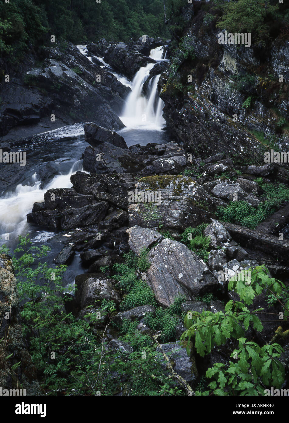 Rogie Falls in Spring Highland UK Stock Photo - Alamy