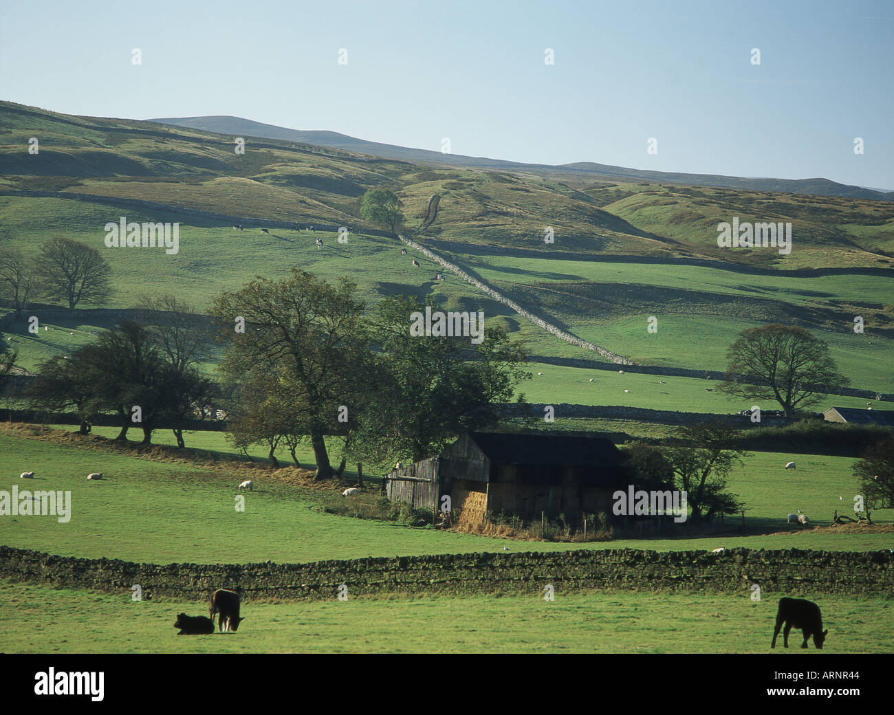 Uk yorshire scenery hi-res stock photography and images - Alamy