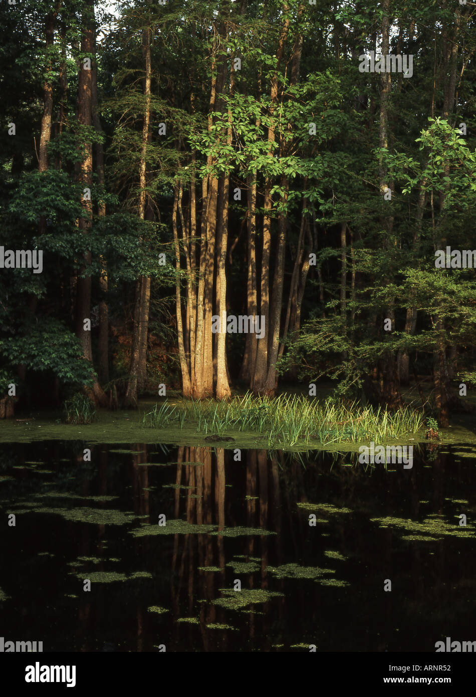 Merchant mill pond hi-res stock photography and images - Alamy