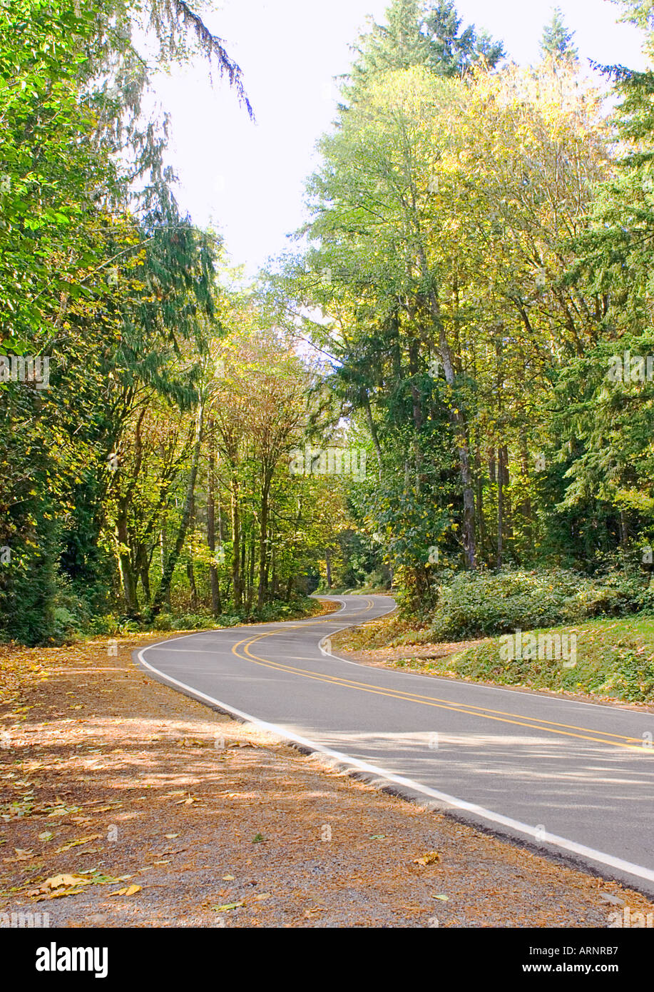 Country Lane in Fall Colours Stock Photo - Alamy