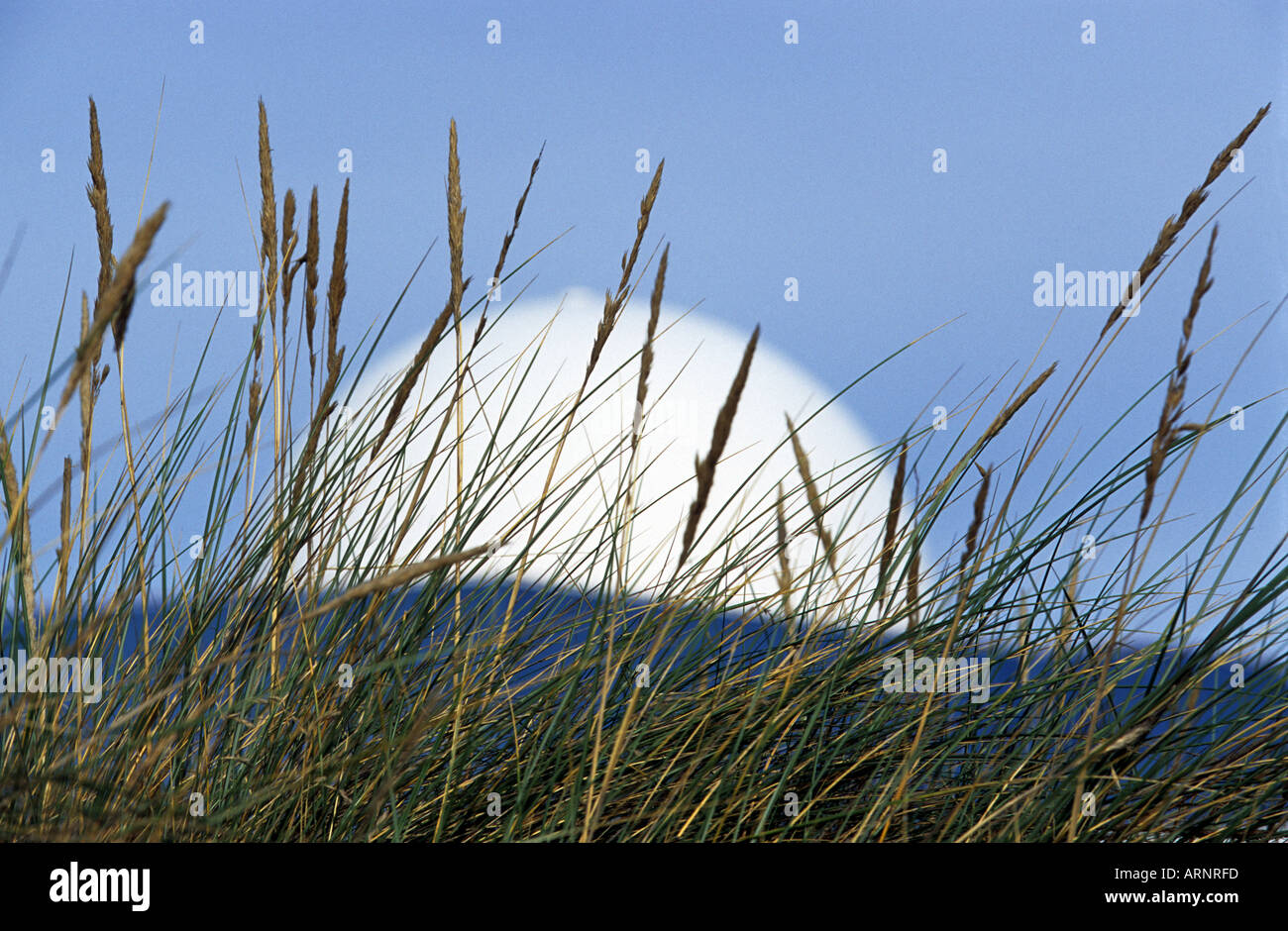Sizewell B nuclear power station, Suffolk, UK Stock Photo - Alamy