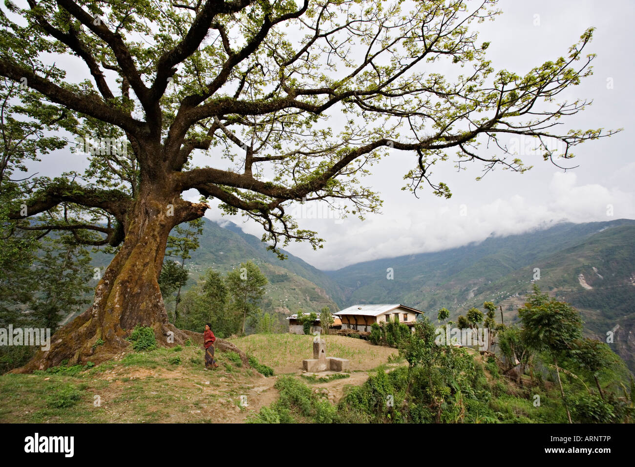 Biggest Village In Nepal at Lachlan Richardson blog