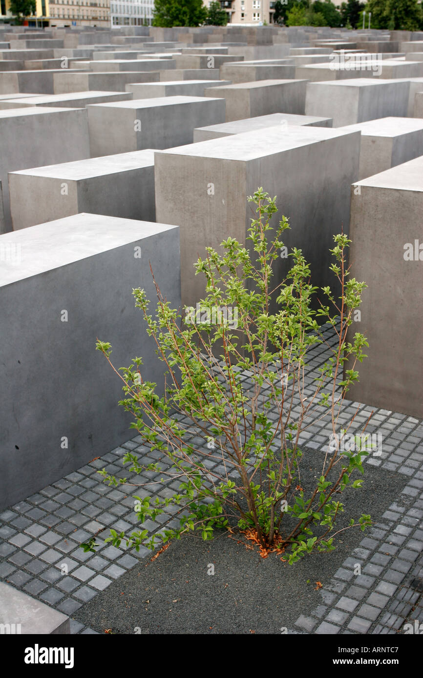 Holocaust memorial in Berlin Germany Stock Photo - Alamy