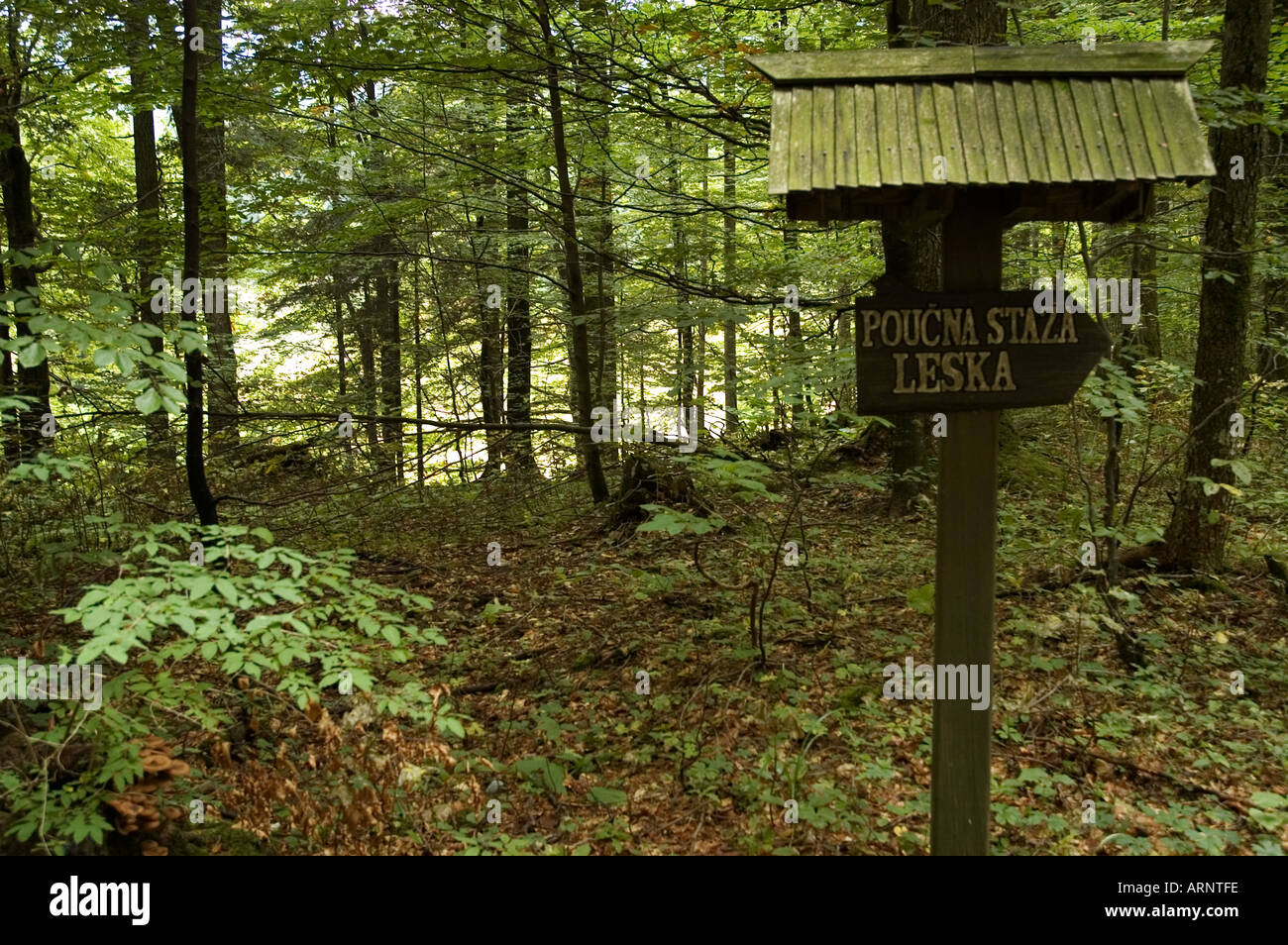 sign in the leska path - croatia Stock Photo - Alamy