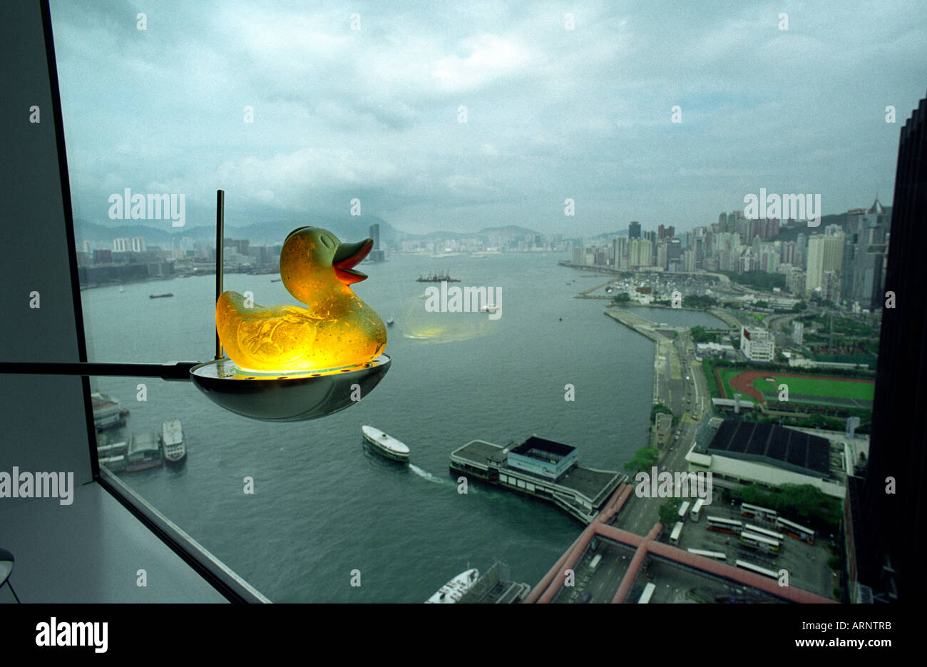 Golden duck hi-res stock photography and images - Alamy